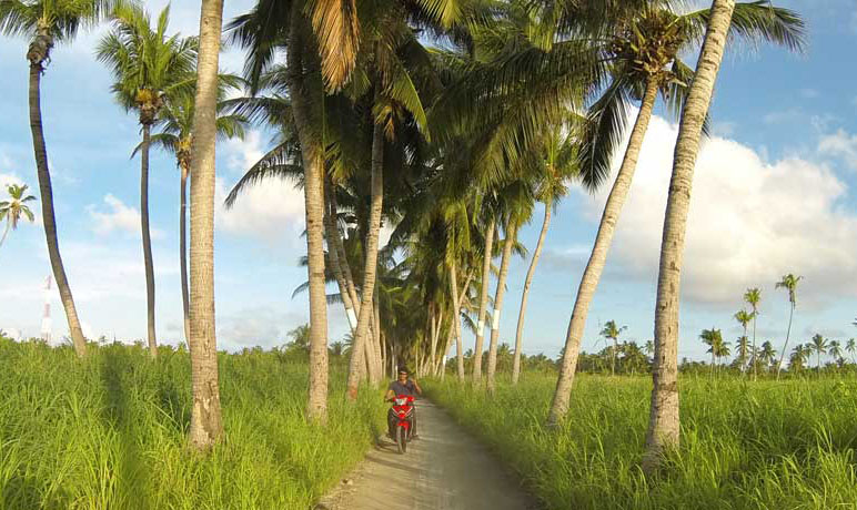 Thoddoo - Budget Maldives
